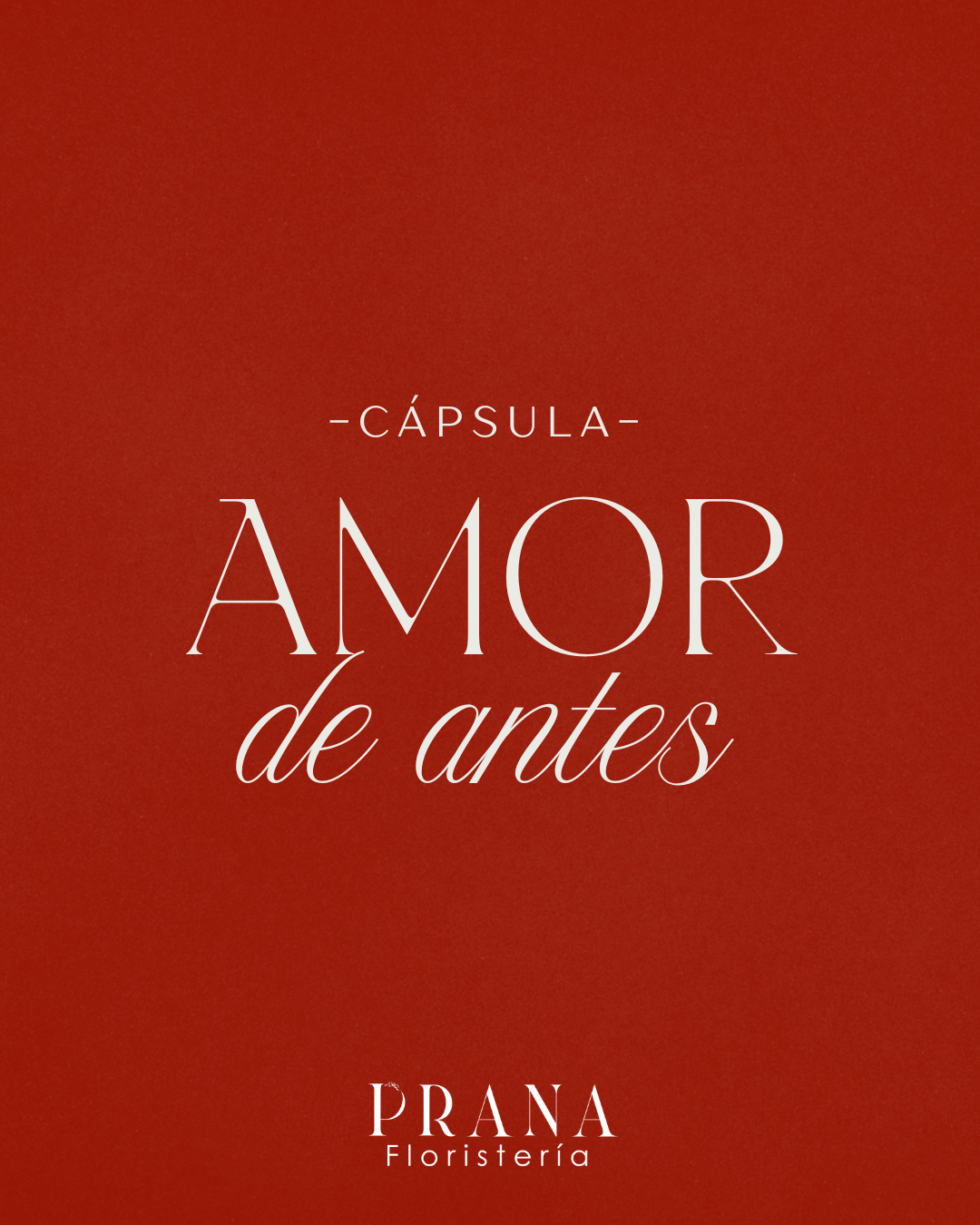 Amor de antes – tagged "amor y amistad" – Prana Floristería